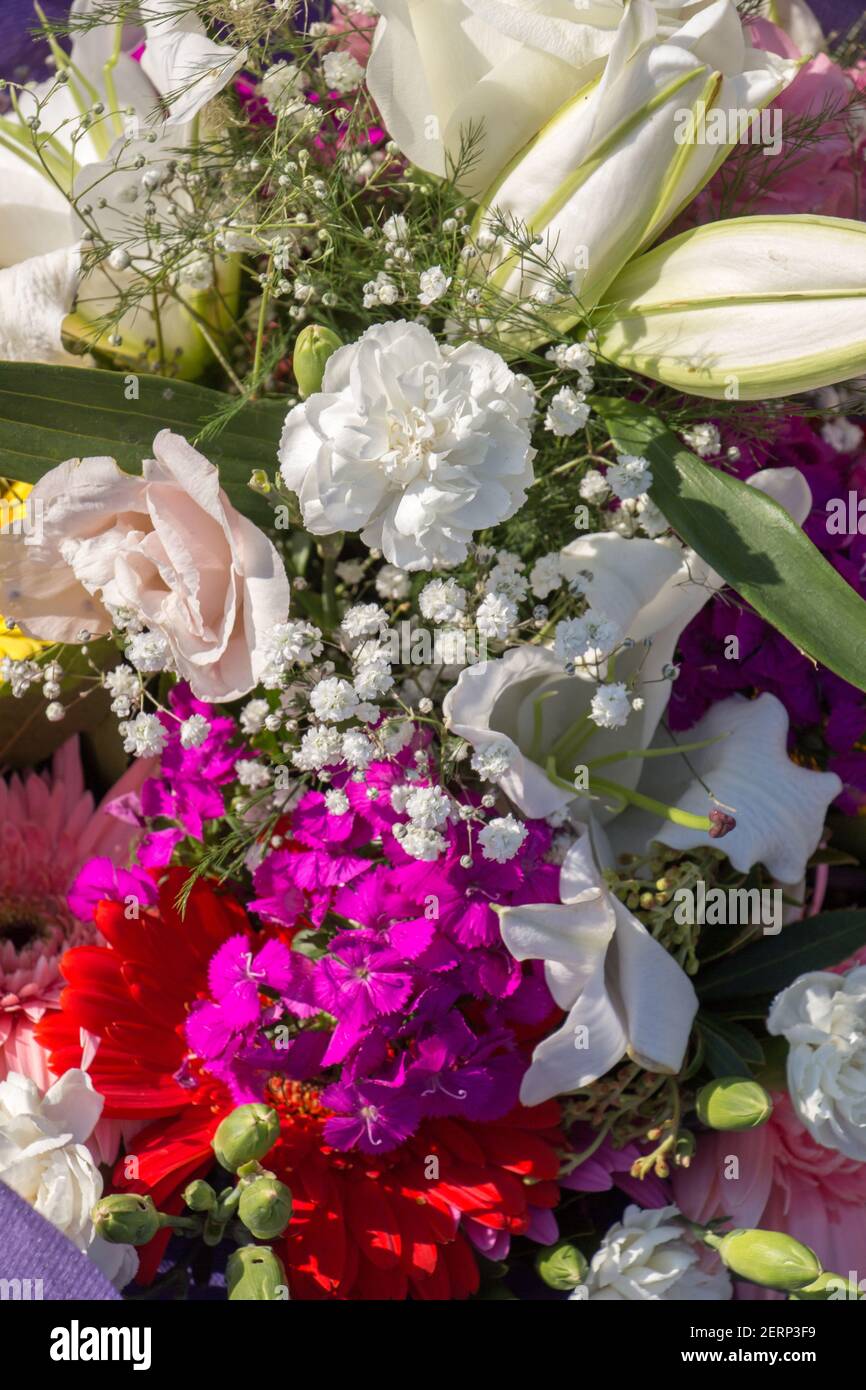 Beautiful colorful natural spring flowers as a nature background Stock ...