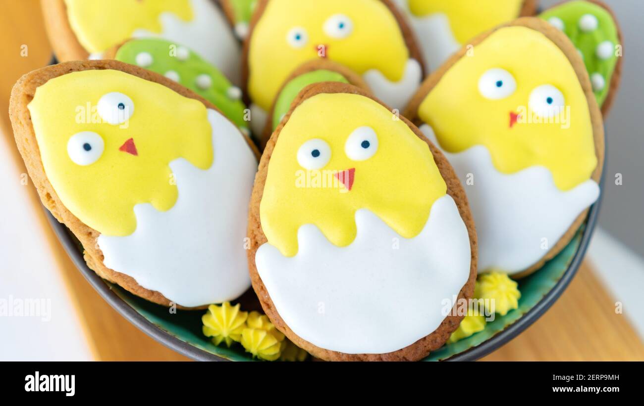 Cute chickens Easter background. Iced sugar cookies in bright frosting ...