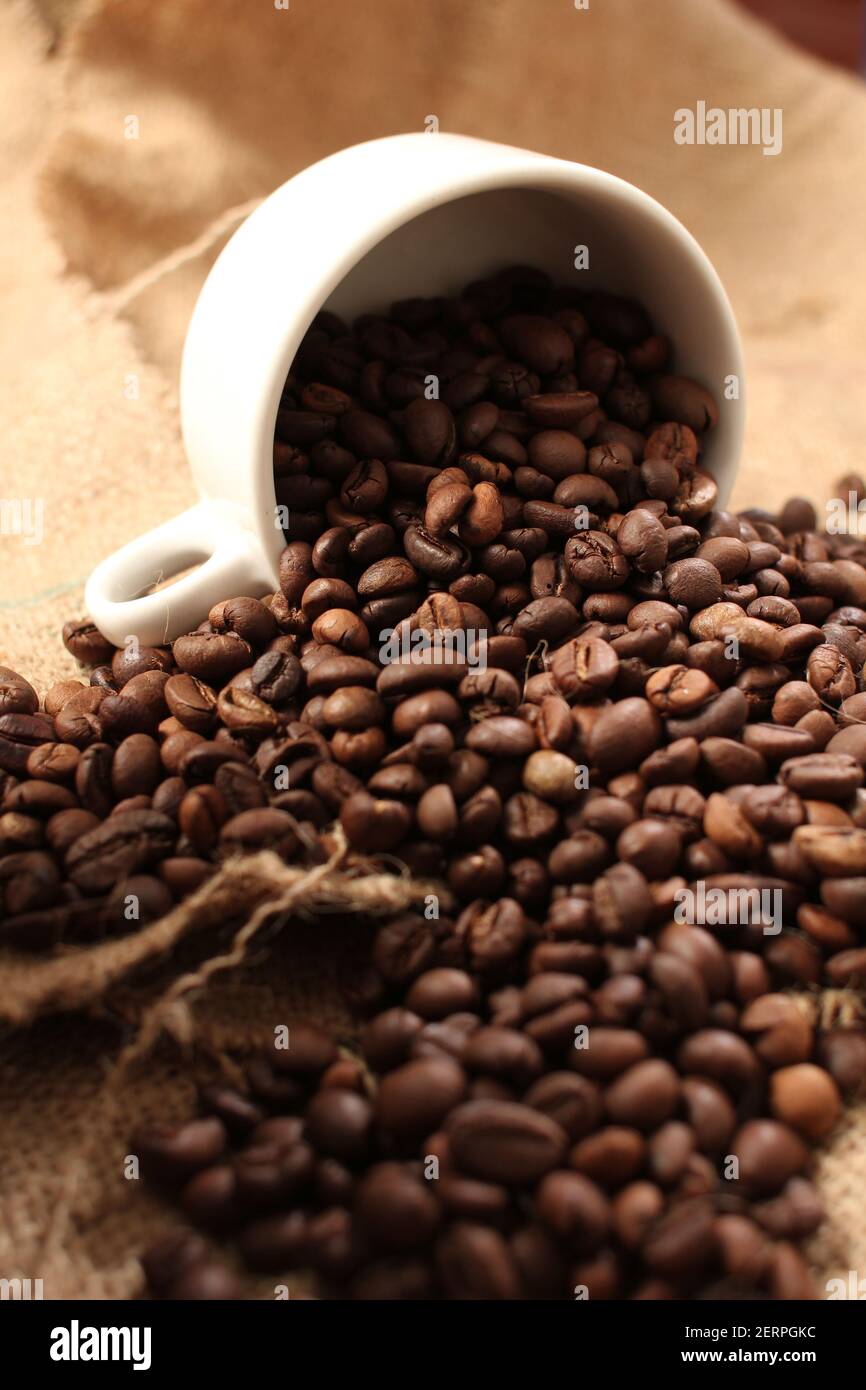 variety of roasted arabica and robusta coffee beans from Indonesia ...