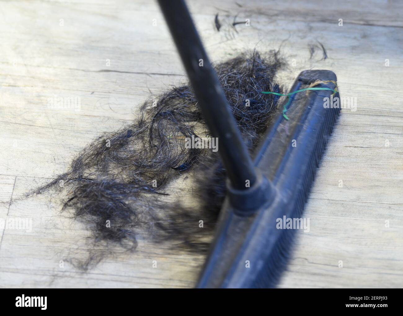 Dresden, Germany. 01st Mar, 2021. A customer's cut hair is swept away ...