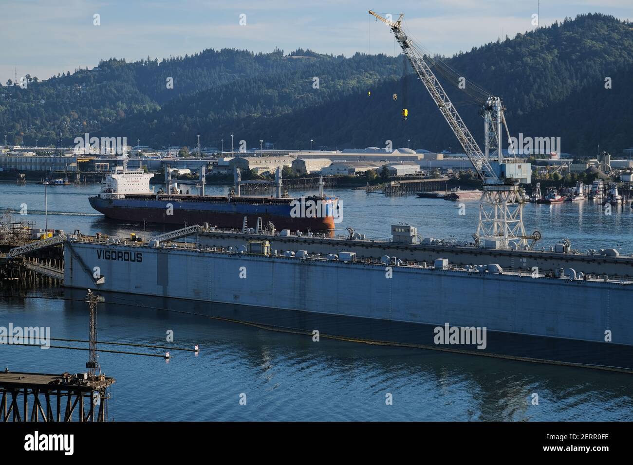 The Tiger Pioneer bulk carrier navigates past Vigor Industrial's ...
