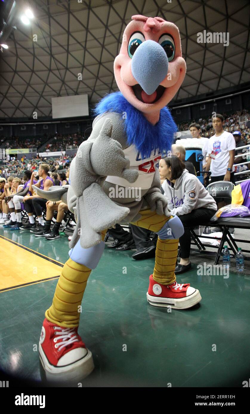 Clippers Mascot
