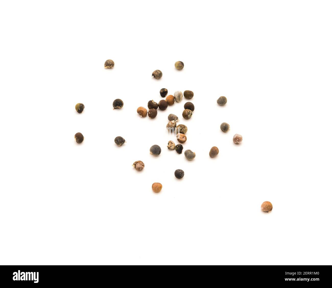 Okra or lady fingers, abelmoschus esculentus seeds isolated on white ...