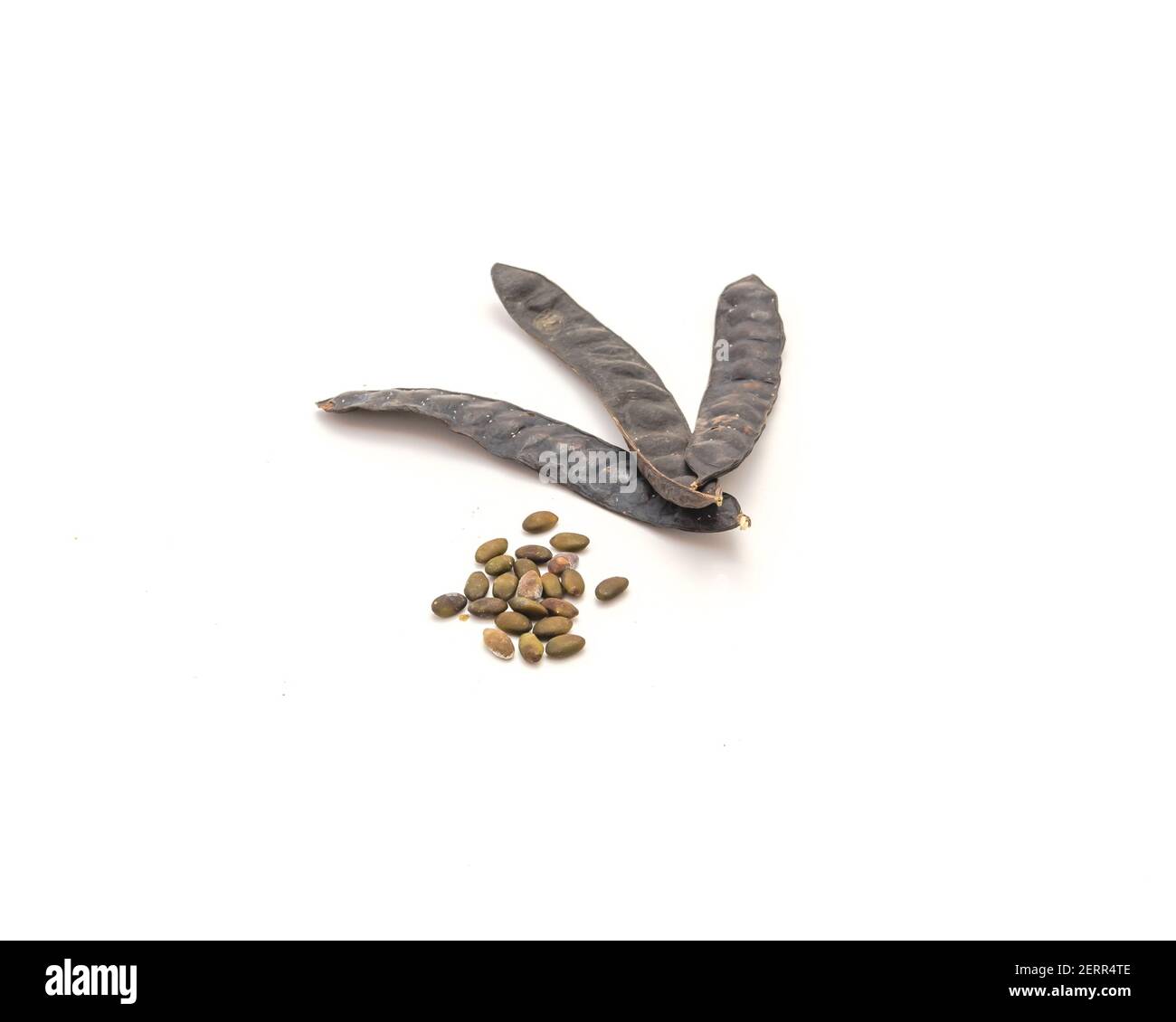 Albizia lebbeck or frywood, flea tree long fat pods with peeled seeds ...