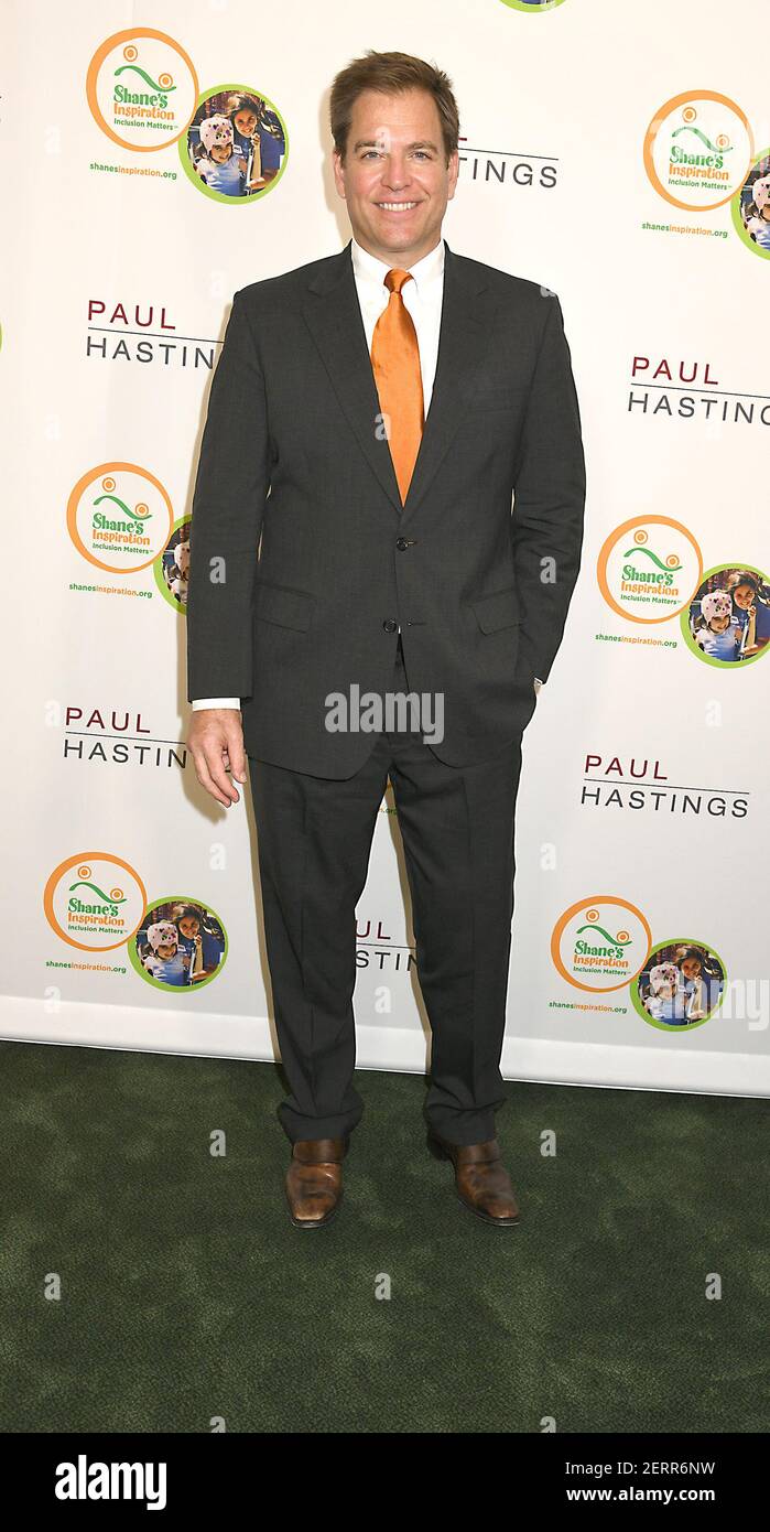 Michael Wetherly attends Shane's Inspiration Benefit on October 1, 2018 ...