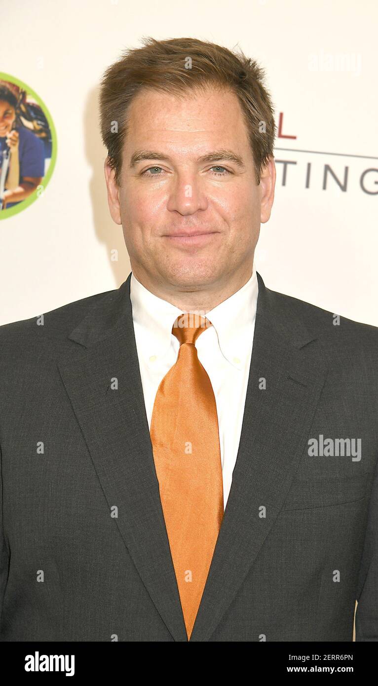 Michael Wetherly attends Shane's Inspiration Benefit on October 1, 2018 ...