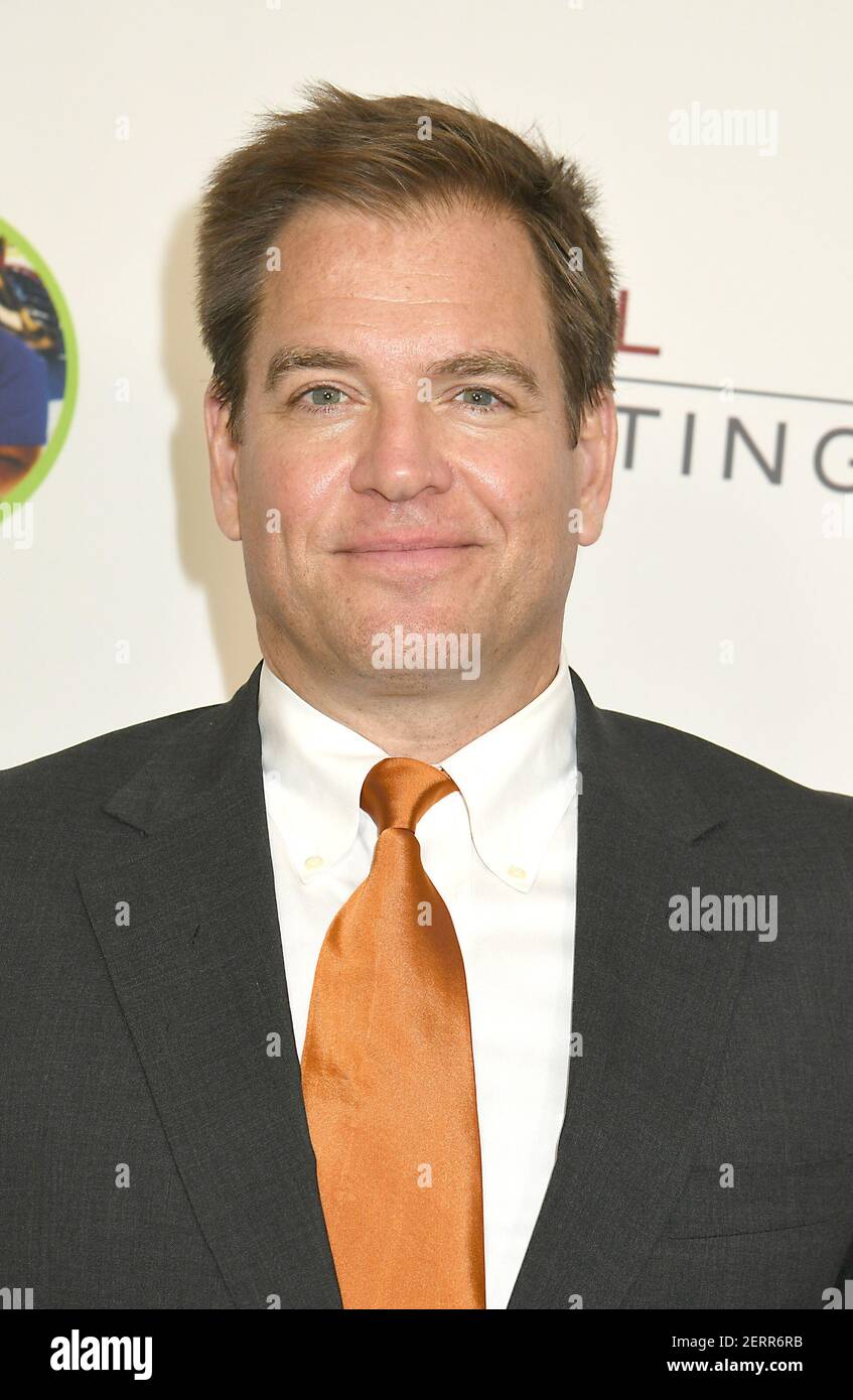 Michael Wetherly attends Shane's Inspiration Benefit on October 1, 2018 ...