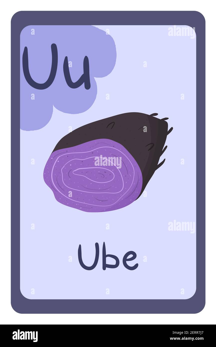 Colorful abc education flash card, Letter U - ube, purple root ...