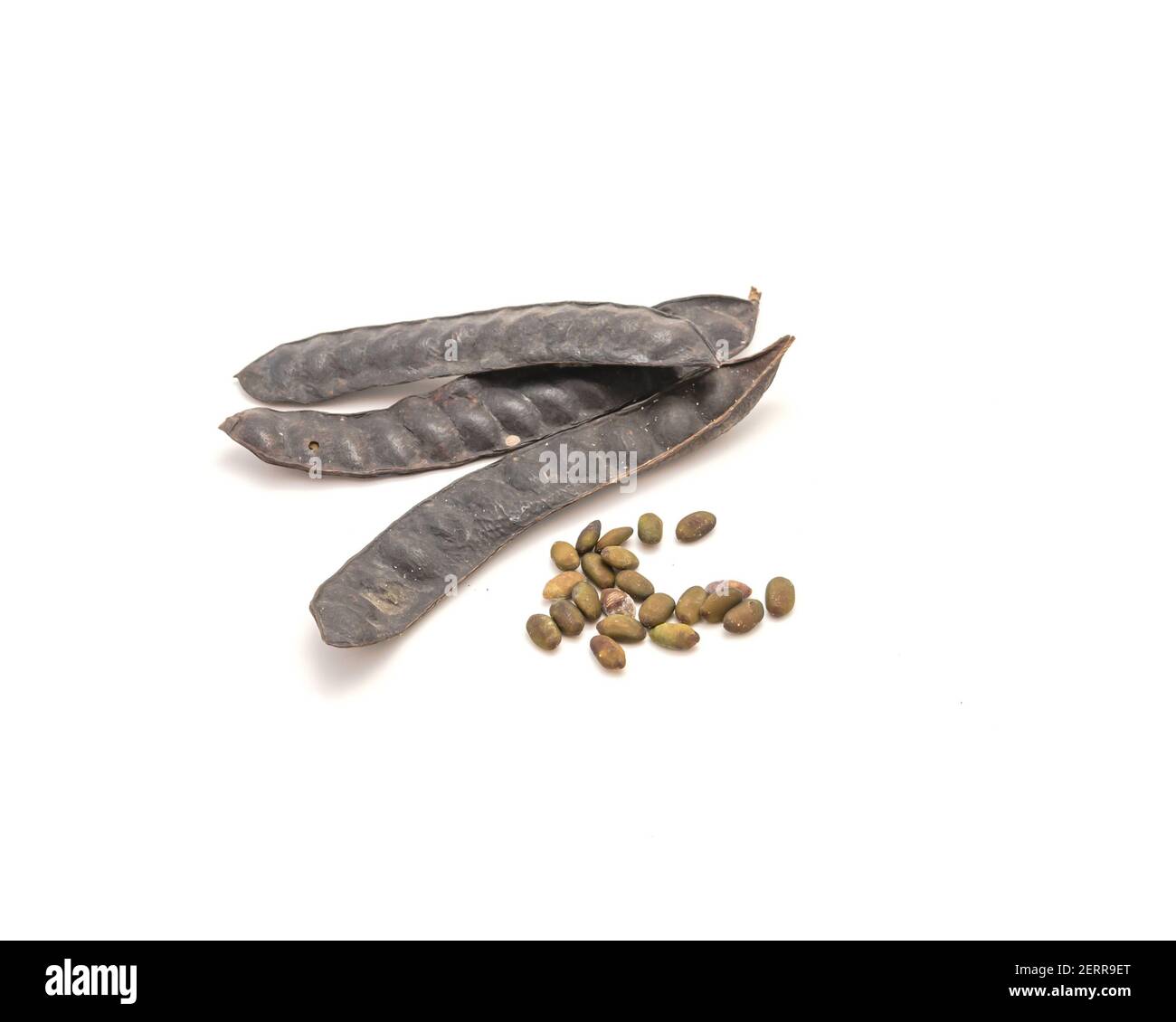 Albizia lebbeck or frywood, flea tree long fat pods with peeled seeds ...