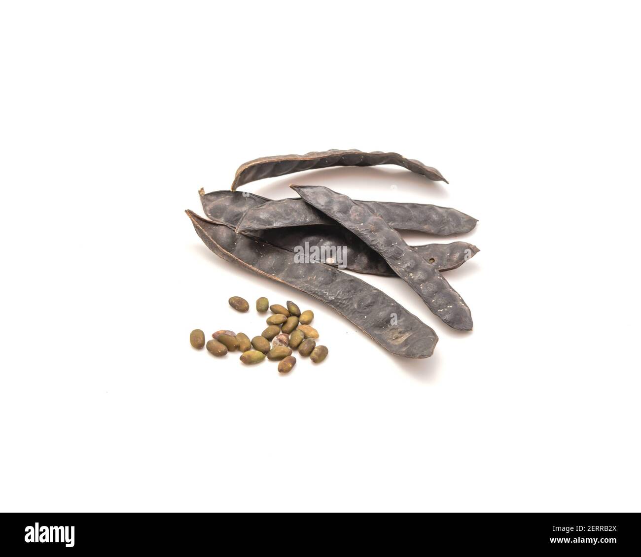 Albizia lebbeck or frywood, flea tree long fat pods with peeled seeds ...