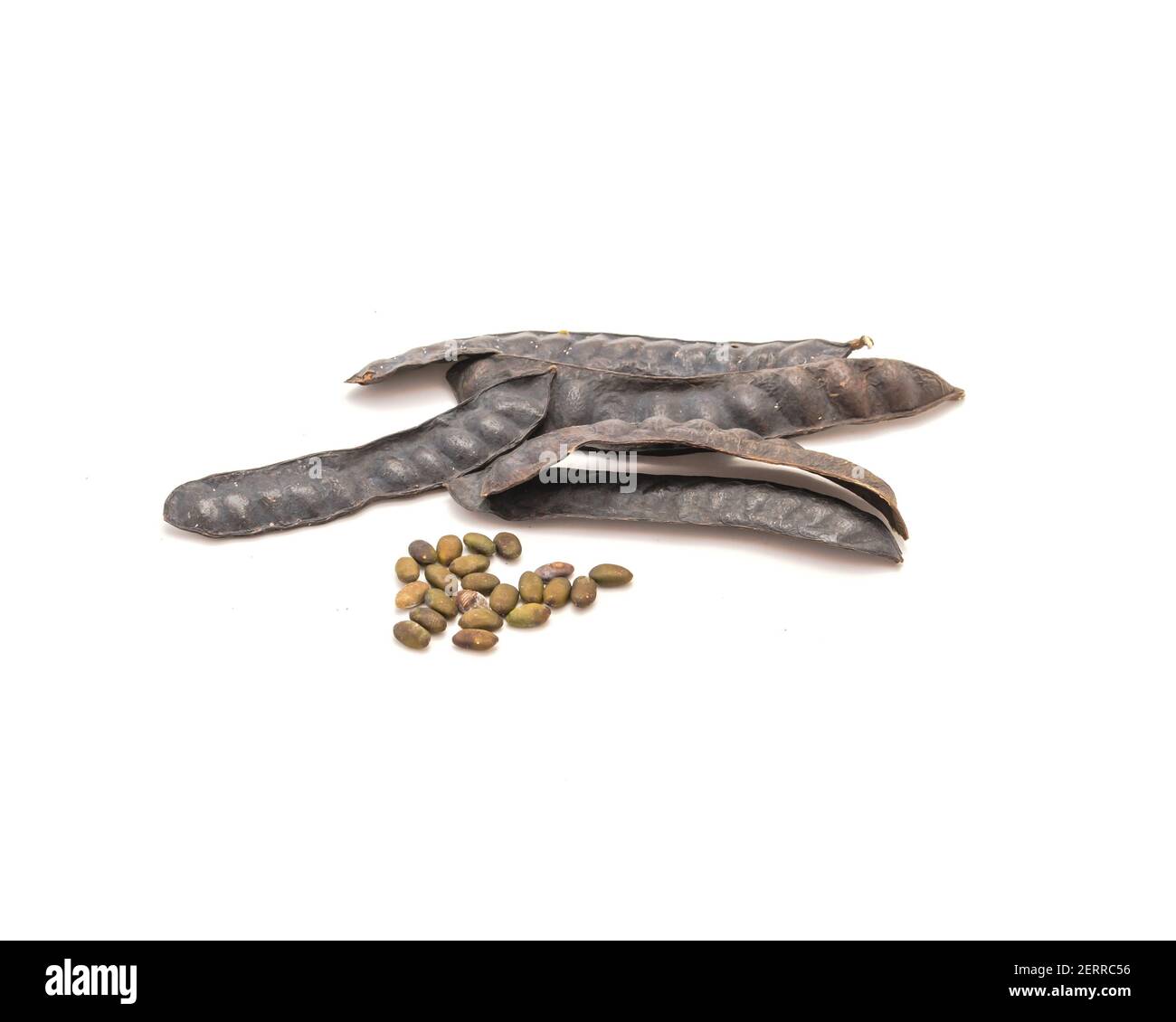 Albizia lebbeck or frywood, flea tree long fat pods with peeled seeds ...