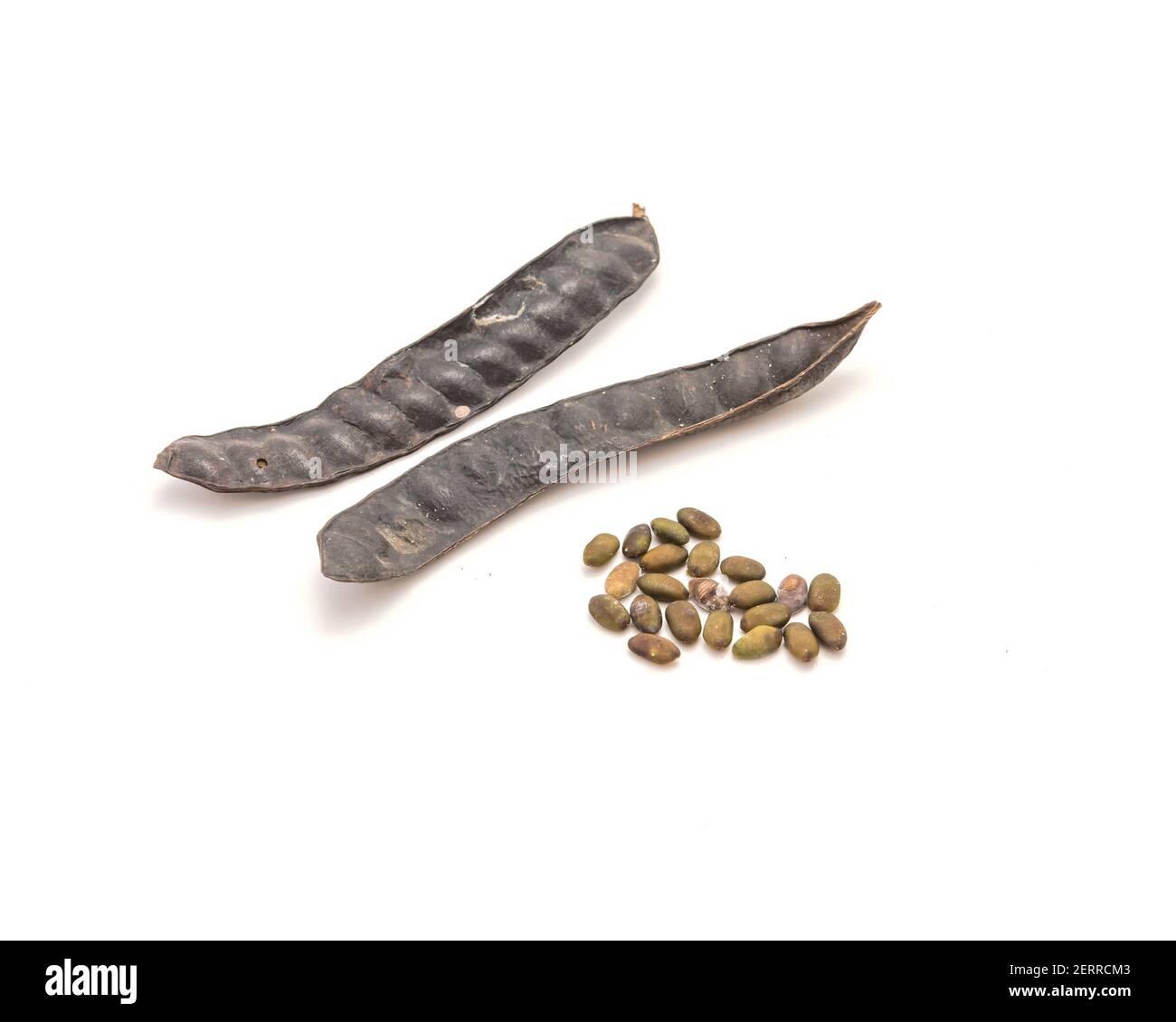 Albizia lebbeck or frywood, flea tree long fat pods with peeled seeds ...