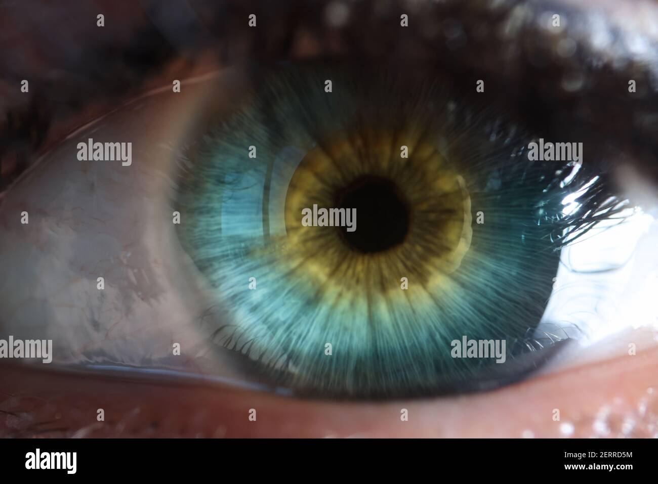 Beautiful closeup of blue human eye for medical design Stock Photo - Alamy
