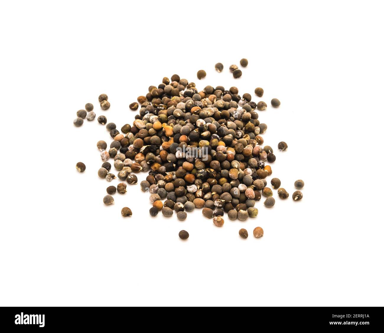 Okra or lady fingers, abelmoschus esculentus seeds isolated on white ...