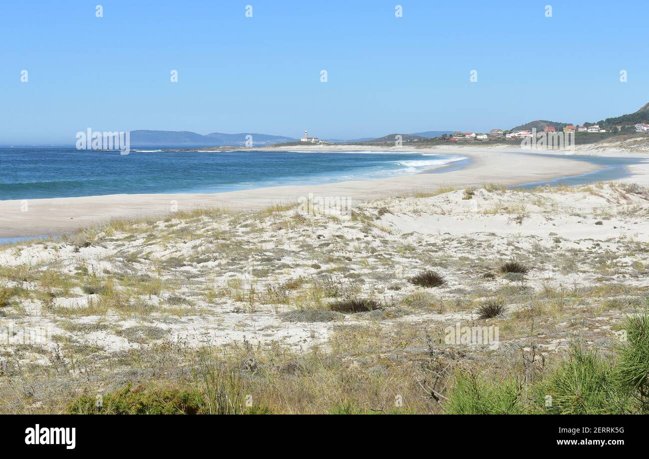 Larino hi-res stock photography and images - Alamy