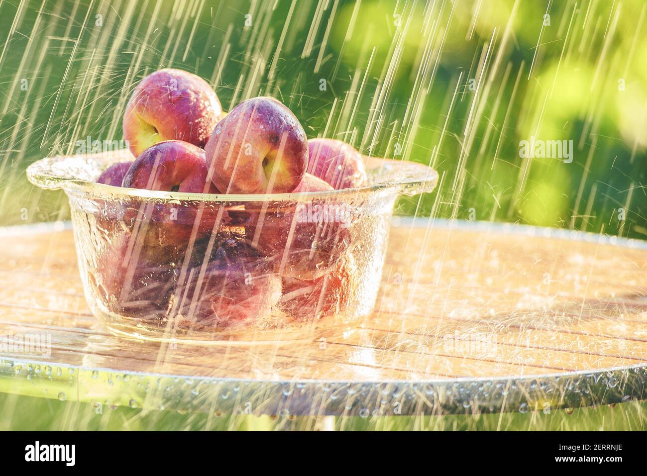 Rain water harvesting hi-res stock photography and images - Alamy