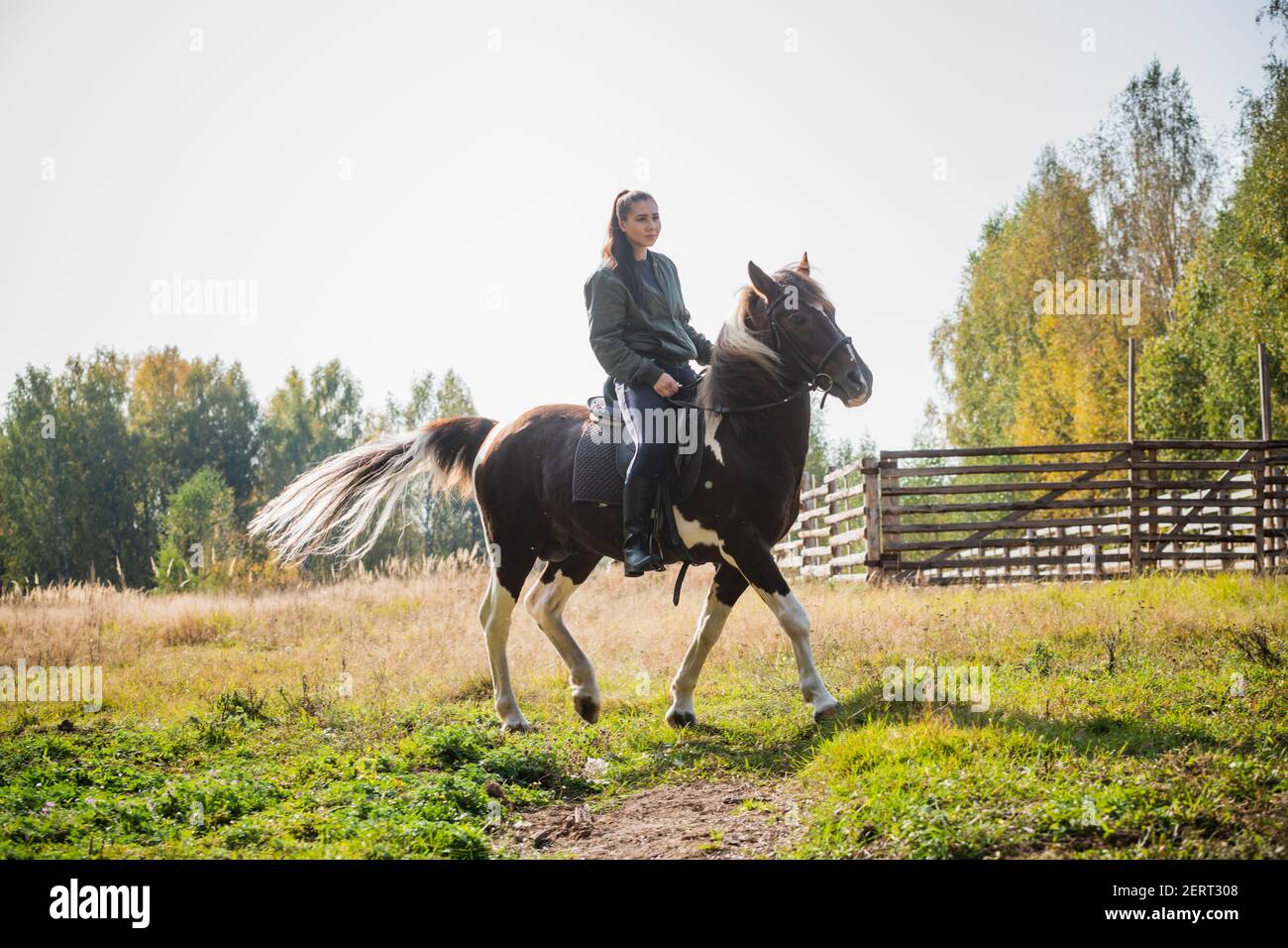 Cute girl-rider rides her fast horse on the territory of the ranch ...