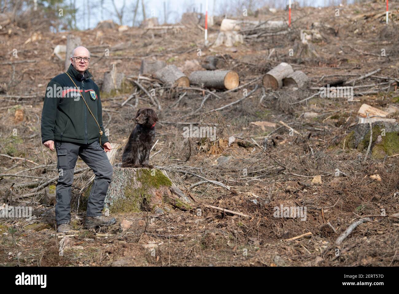 Reforestation area hi-res stock photography and images - Alamy