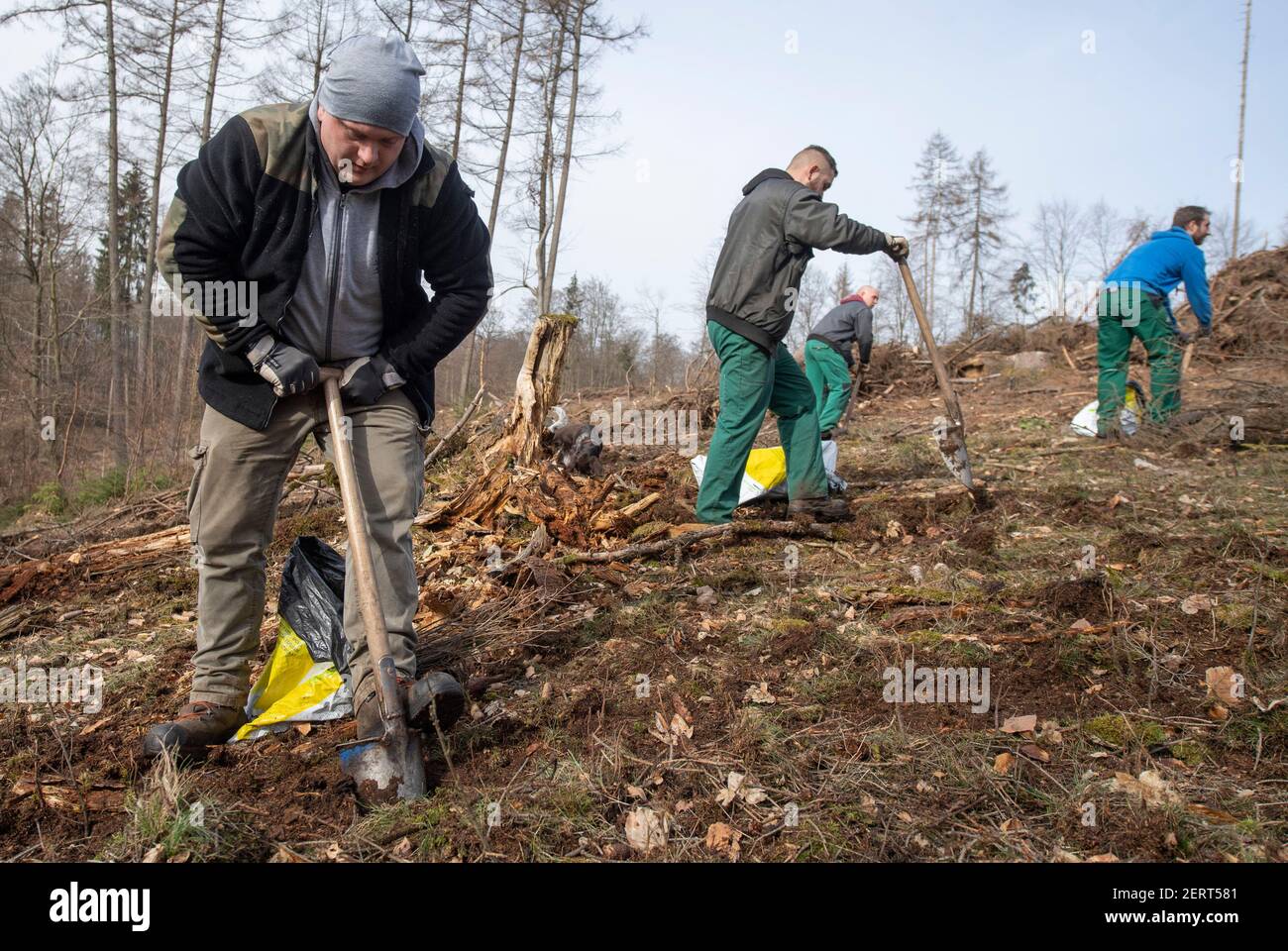 Aufgeforstet hi-res stock photography and images - Alamy