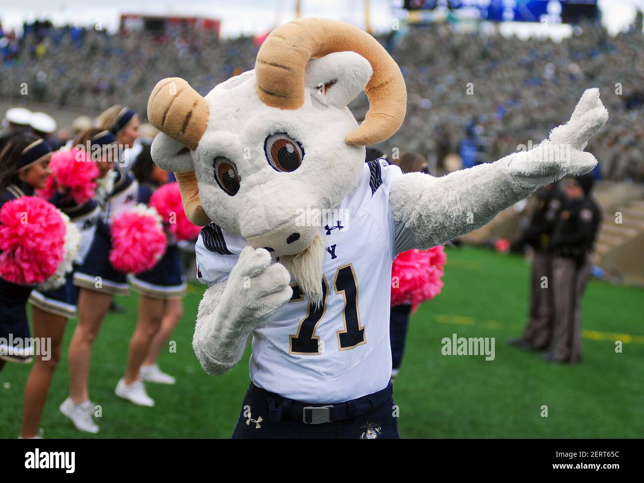 Goat american football hi-res stock photography and images - Alamy