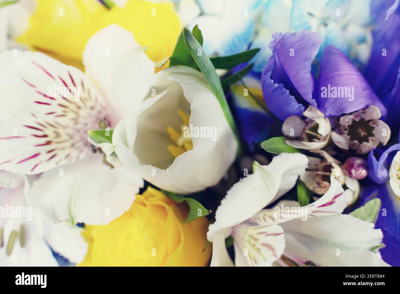 Mixed flower arrangement: various flowers in different colors for a ...
