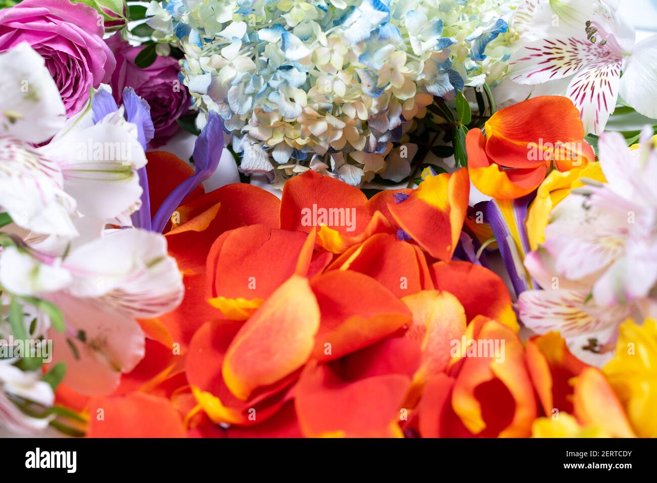 Mixed flower arrangement: various flowers in different colors Stock ...