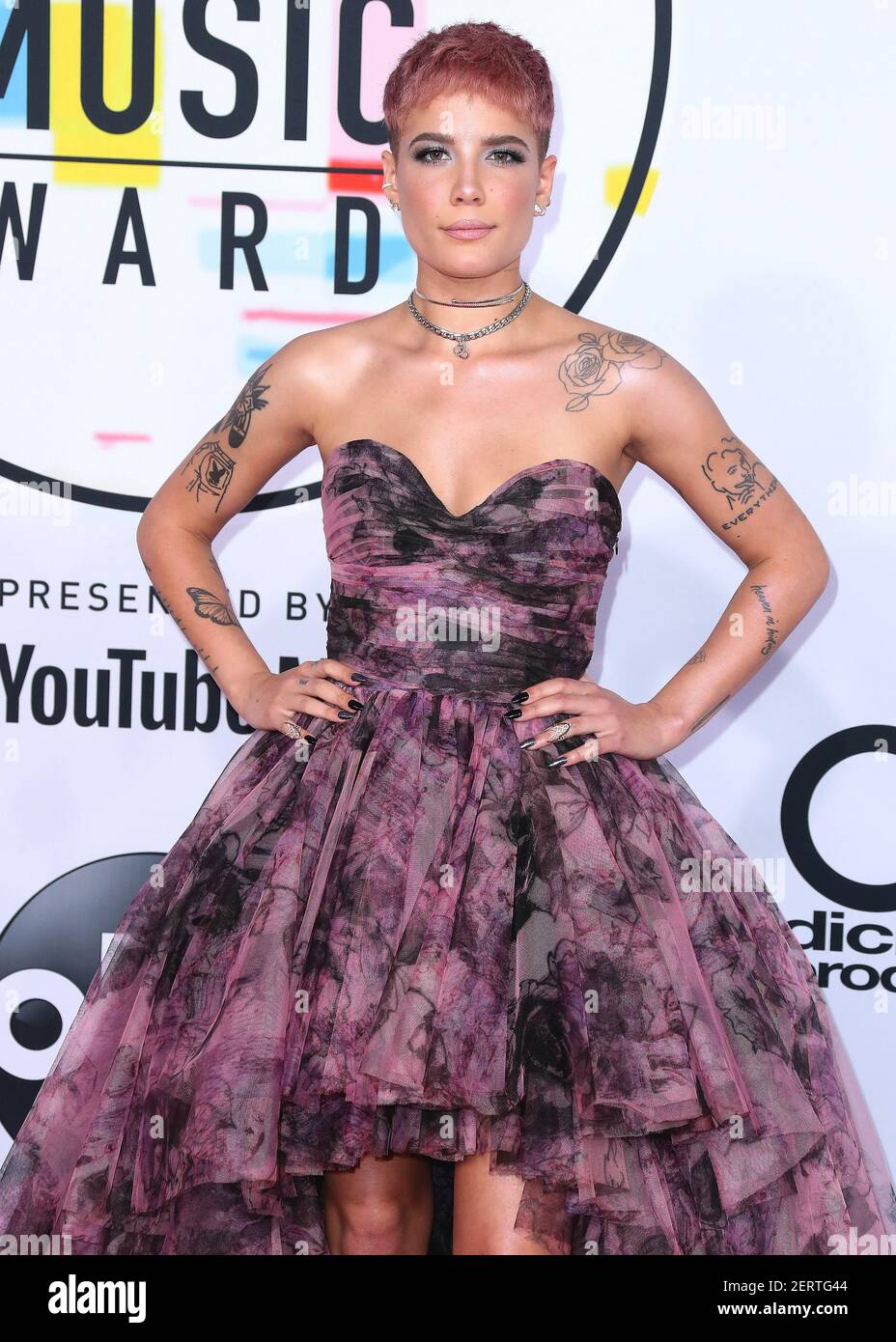 LOS ANGELES - OCTOBER 9: Halsey at the 2018 American Music Awards at ...