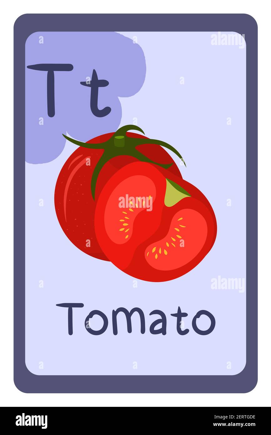 Colorful abc education flash card, Letter T - tomato, red vegetable ...