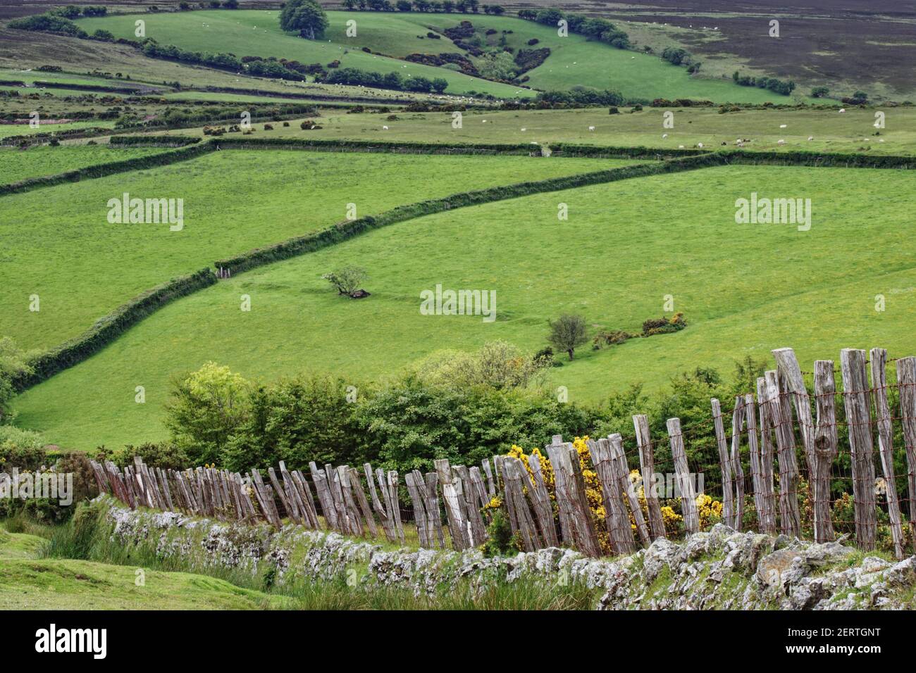 Farmland with Moors beyondExmoor National Park Somerset UK LA000387 ...