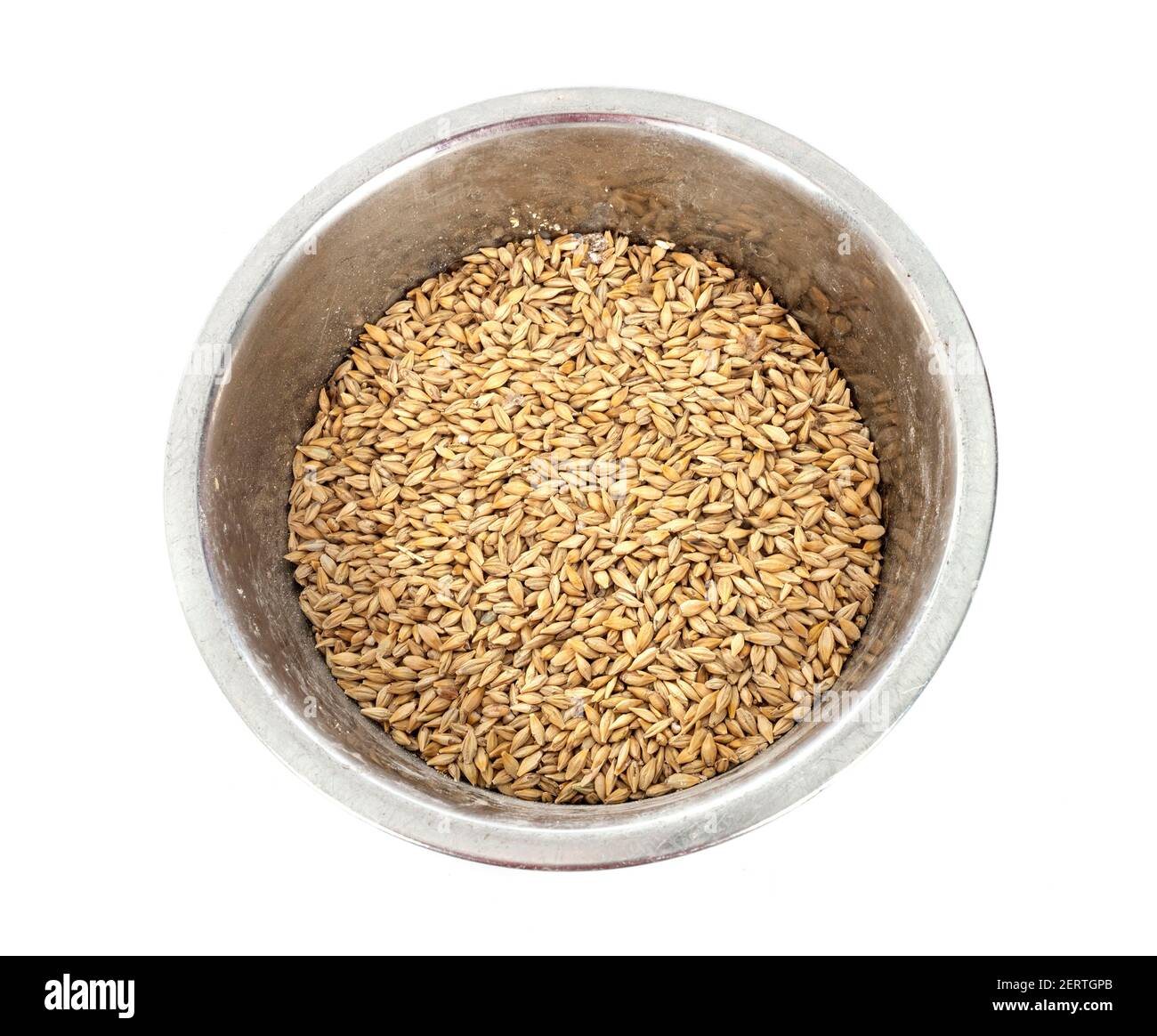 Barley seeds hi-res stock photography and images - Alamy