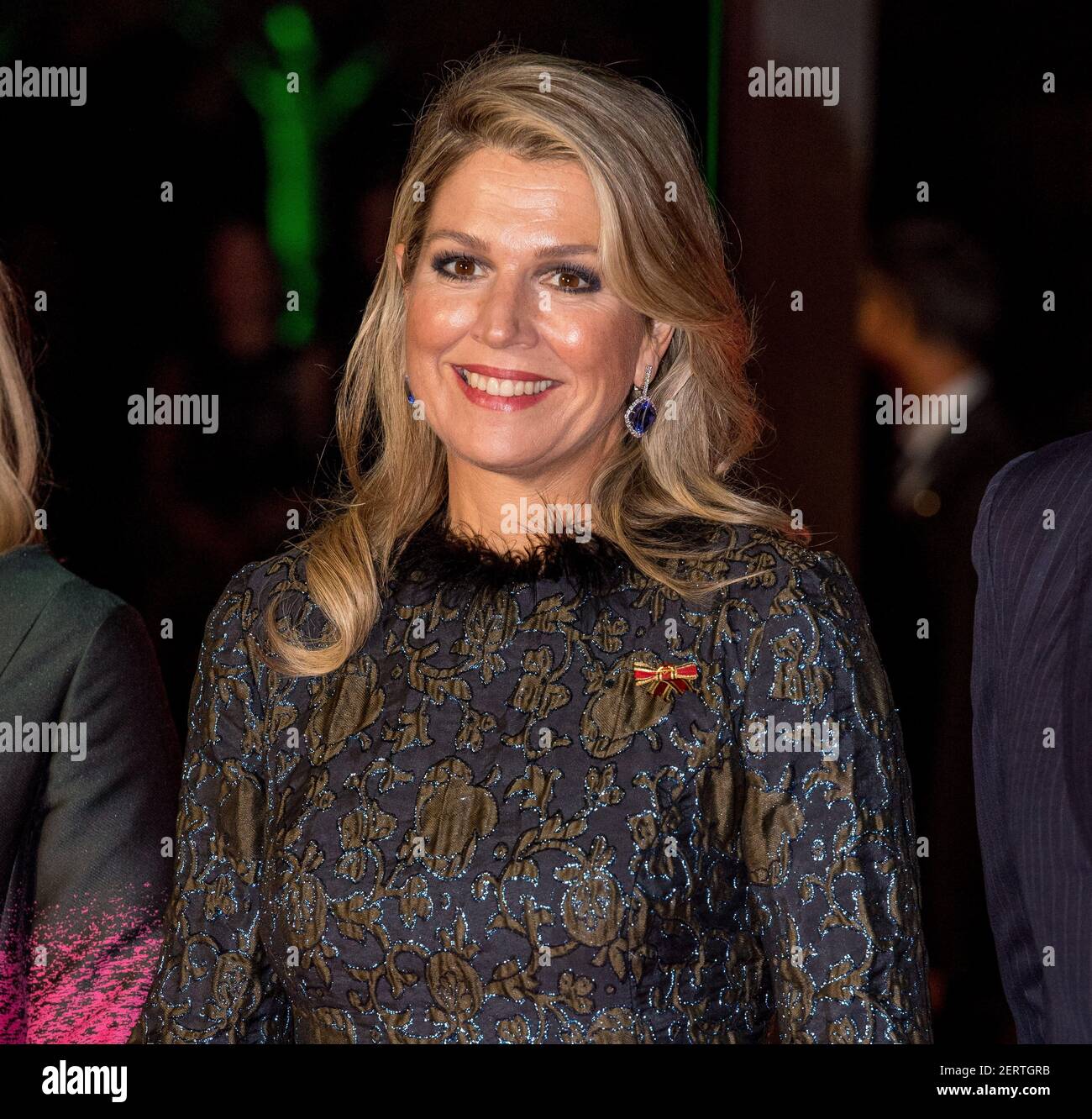 Queen Maxima during a trade dinner with Prime Minister of Rhineland ...