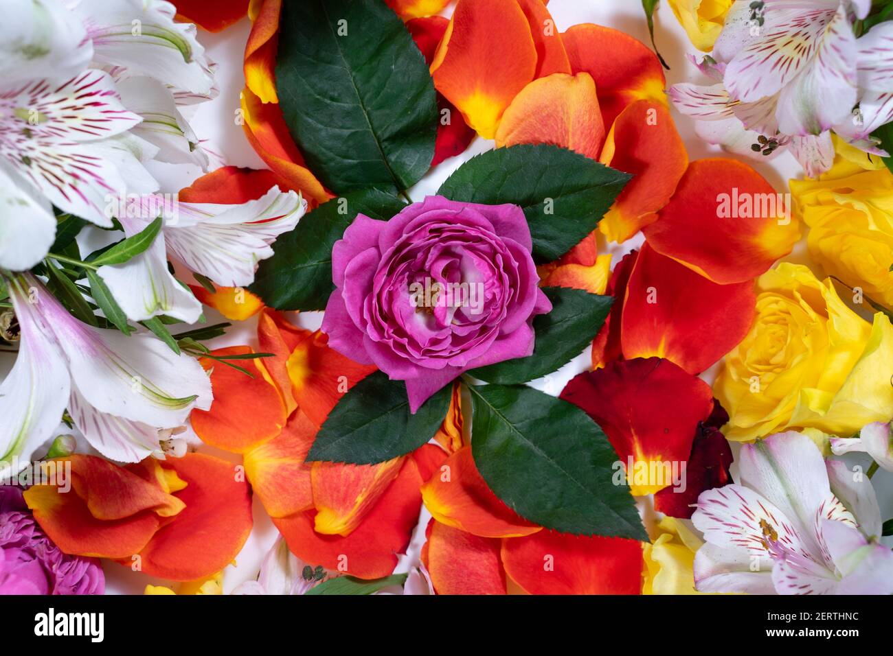 floral color mix background with selective focus Stock Photo - Alamy