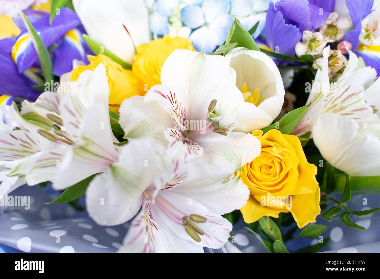 Mixed colorful flowers background. Vibrant colors of mixed flowers ...