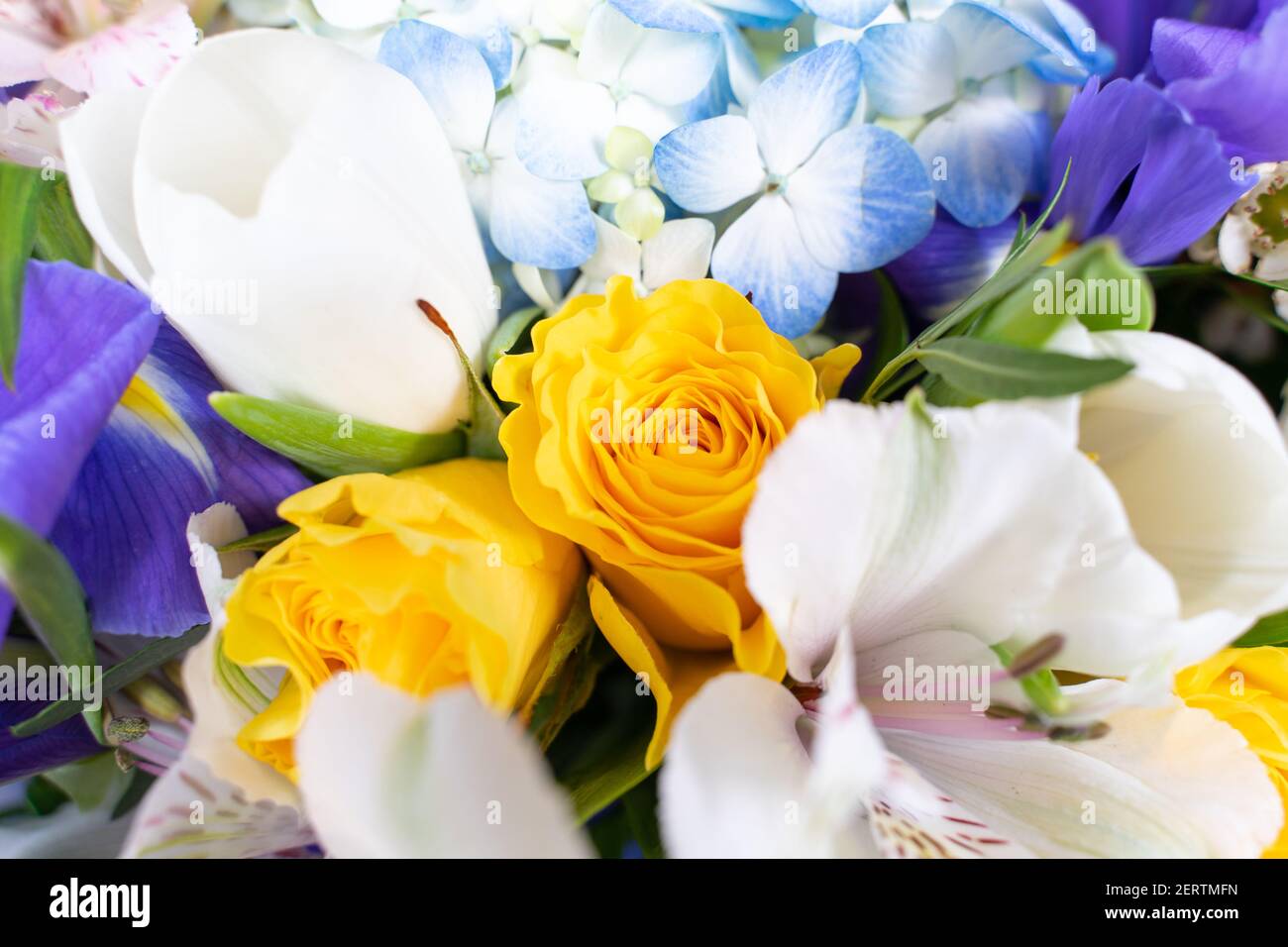 Mixed flower arrangement: various flowers in different colors for a ...