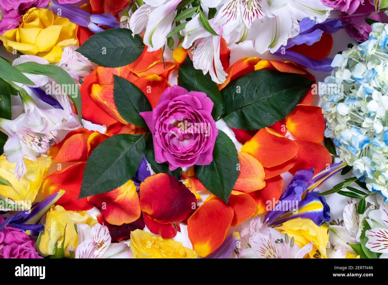 Mixed flower arrangement: different flowers of different colors, in the ...