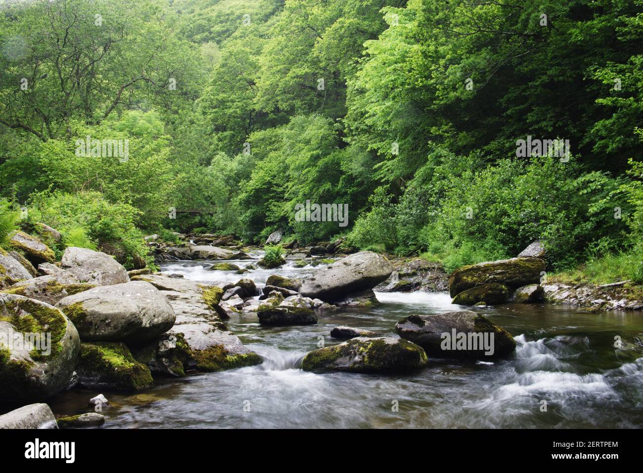 Exmoor national park hi-res stock photography and images - Alamy