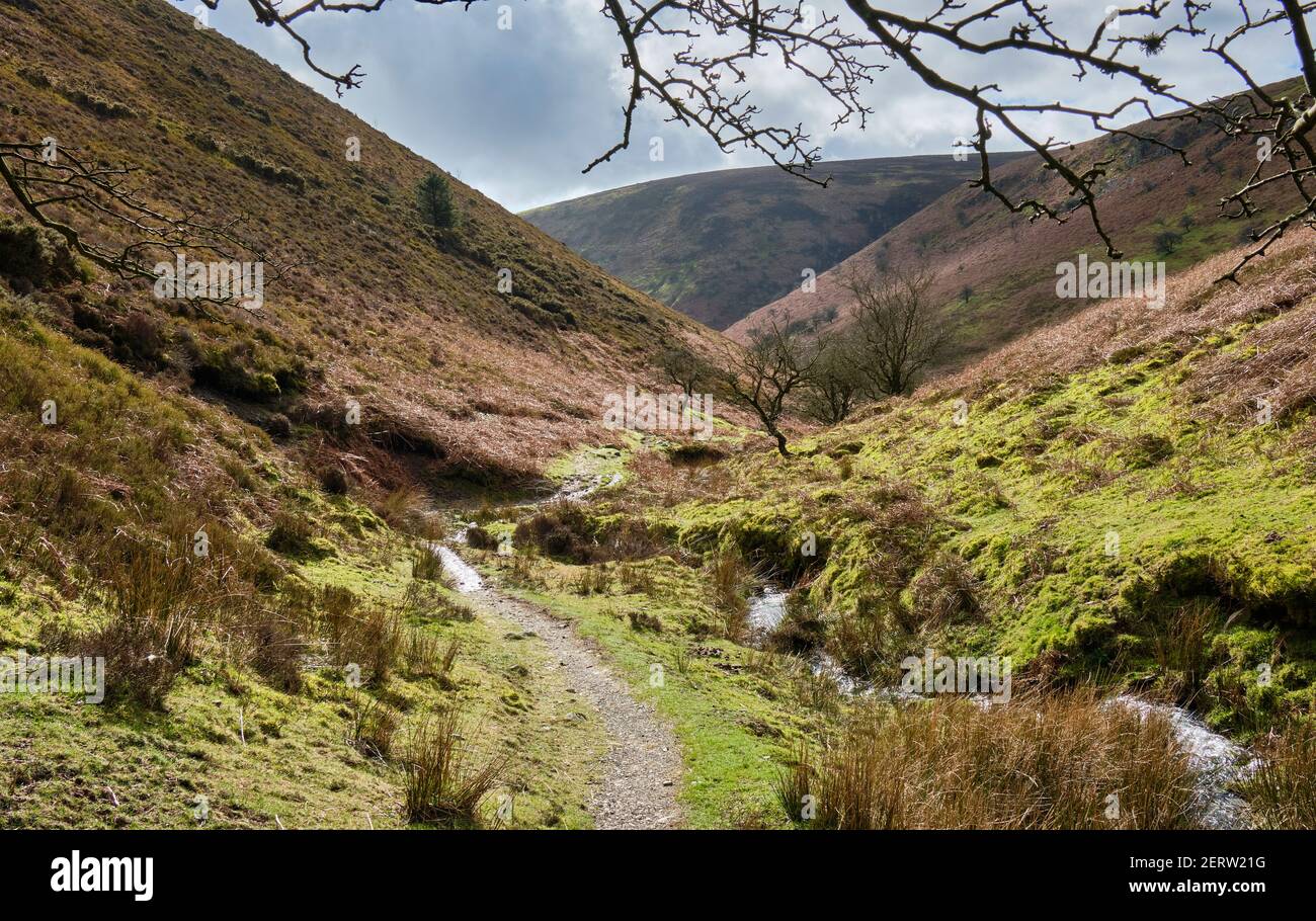 Ashes Hollow, the Long Mynd, Church Stretton, Shropshire Stock Photo ...