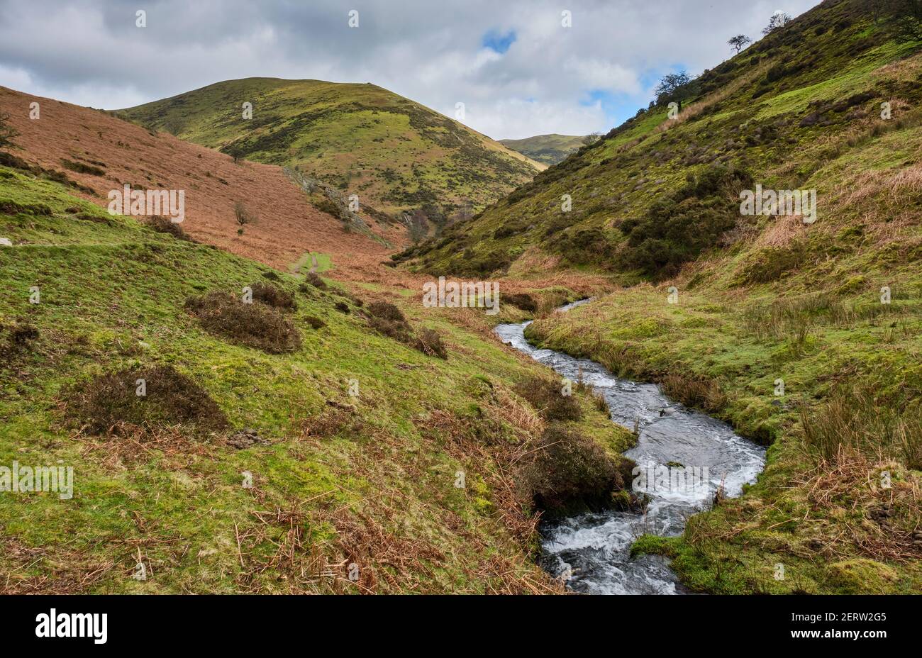 Ashes Hollow, the Long Mynd, Church Stretton, Shropshire Stock Photo ...