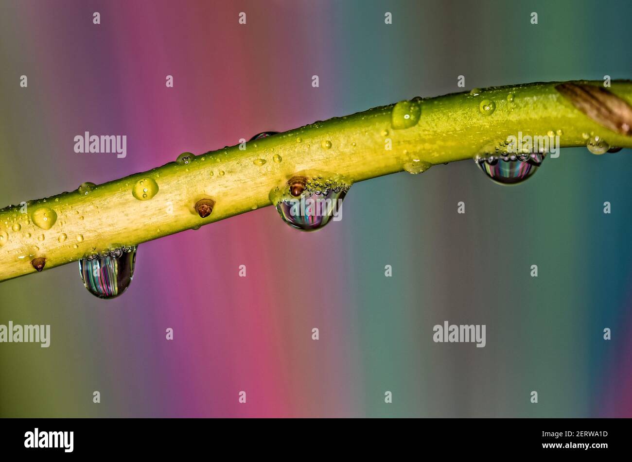 Drops of colors hi-res stock photography and images - Alamy