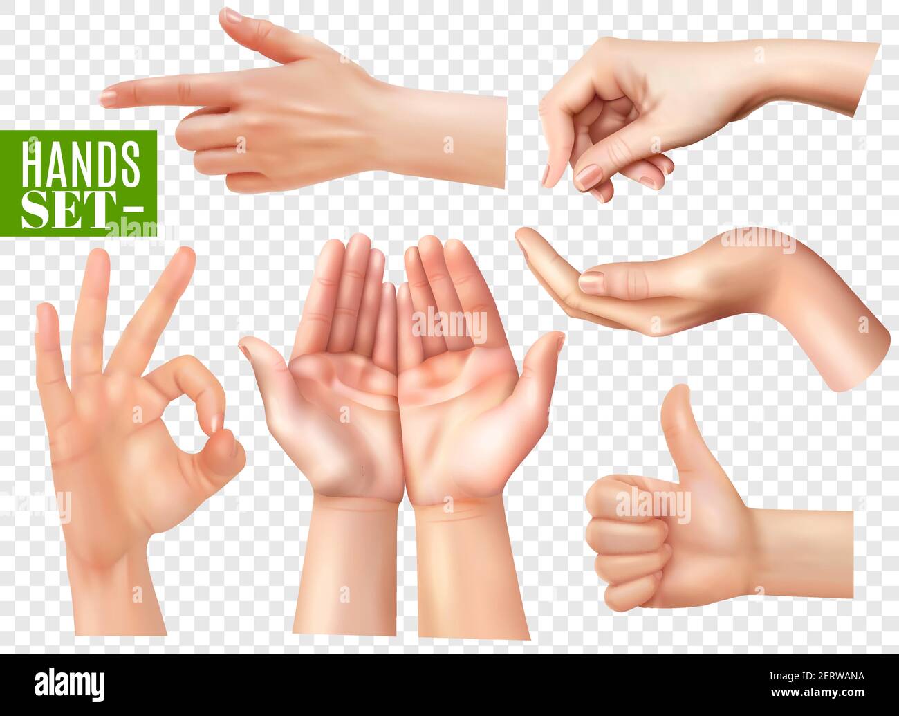 Human hands gestures realistic images set with pointing finger ok sign thumb up transparent ...