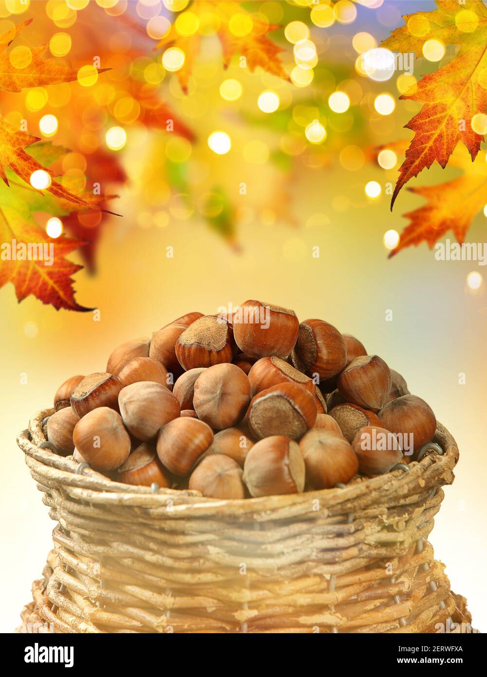 Autumn hazelnuts in a wicker basket and empty space for text Stock ...