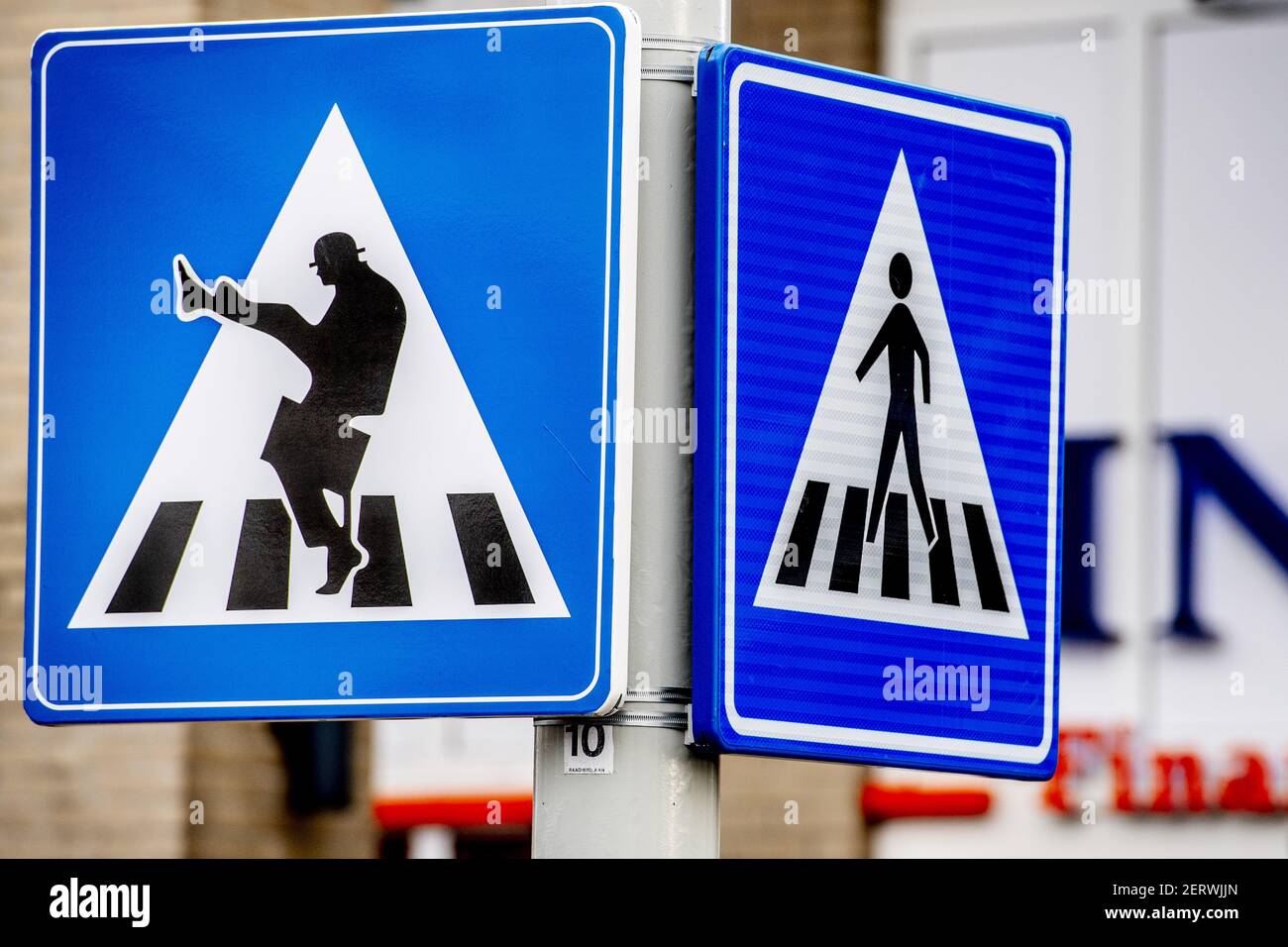 SPIJKERNISSE - S.v.p. walking madly crossing the zebra. To this end, a ...