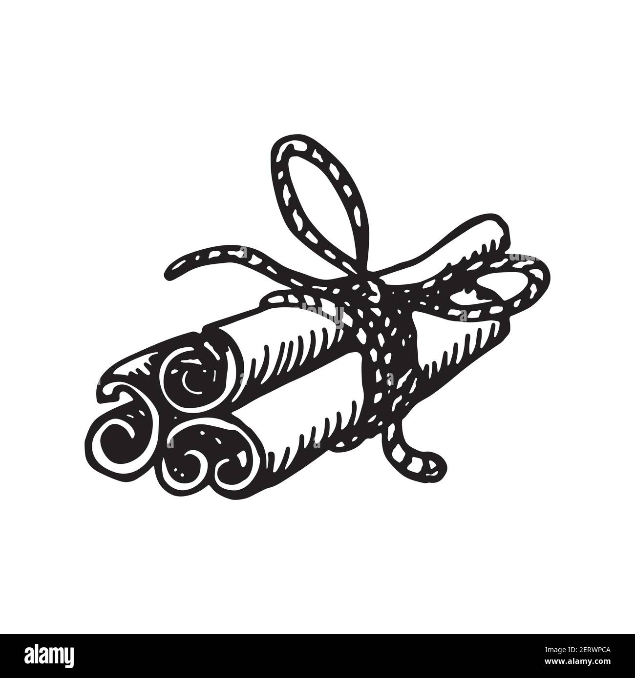 Cinnamon stick seed plant . Hand drawn sketch vector illustration ...