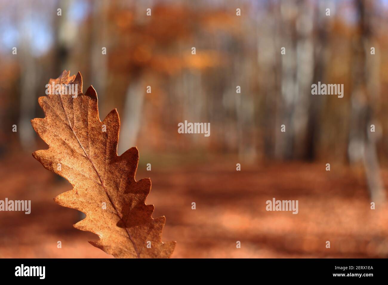 Fulfilled hi-res stock photography and images - Alamy