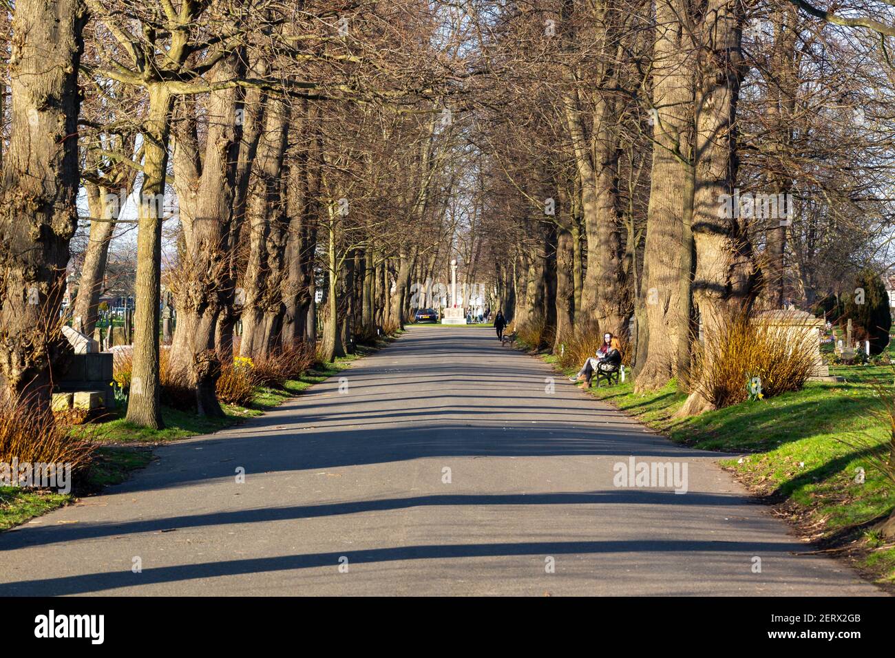 A straight road through a park in winter with people walking their dogs ...