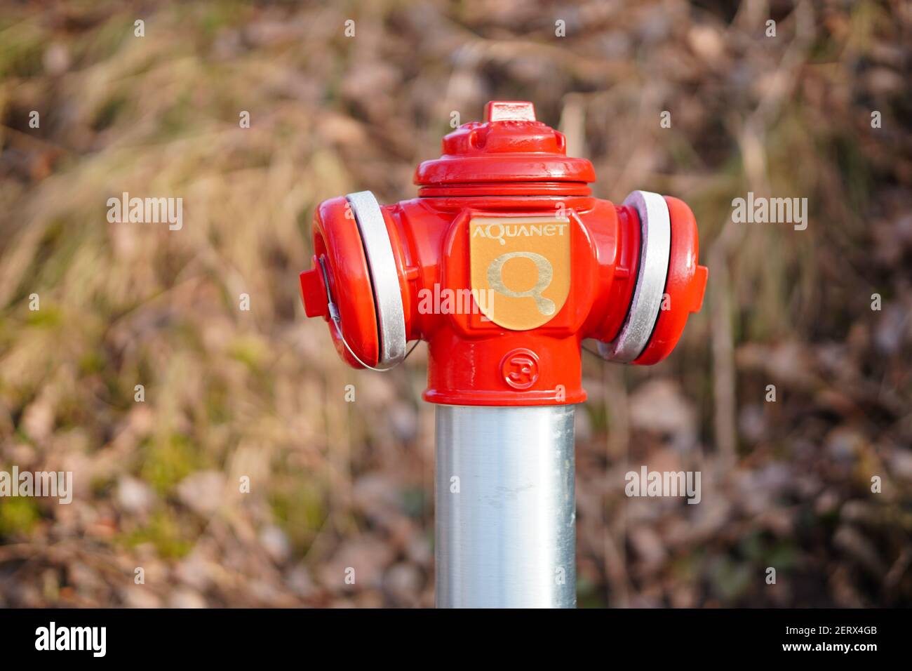 Aquanet hi-res stock photography and images - Alamy