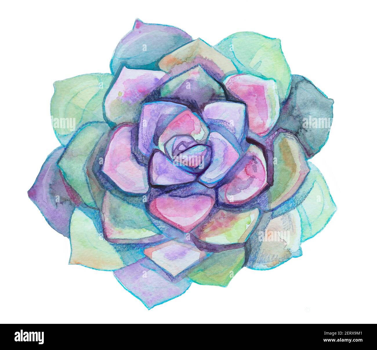 Drawing of flower, watercolor painting hi-res stock photography and ...