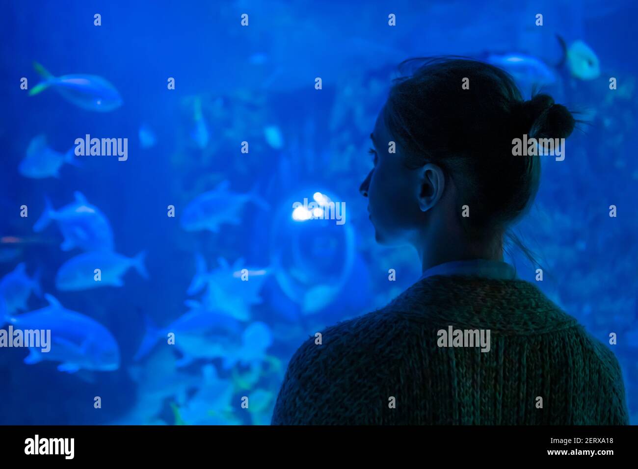 Woman silhouette looking at fish in large public aquarium tank Stock ...