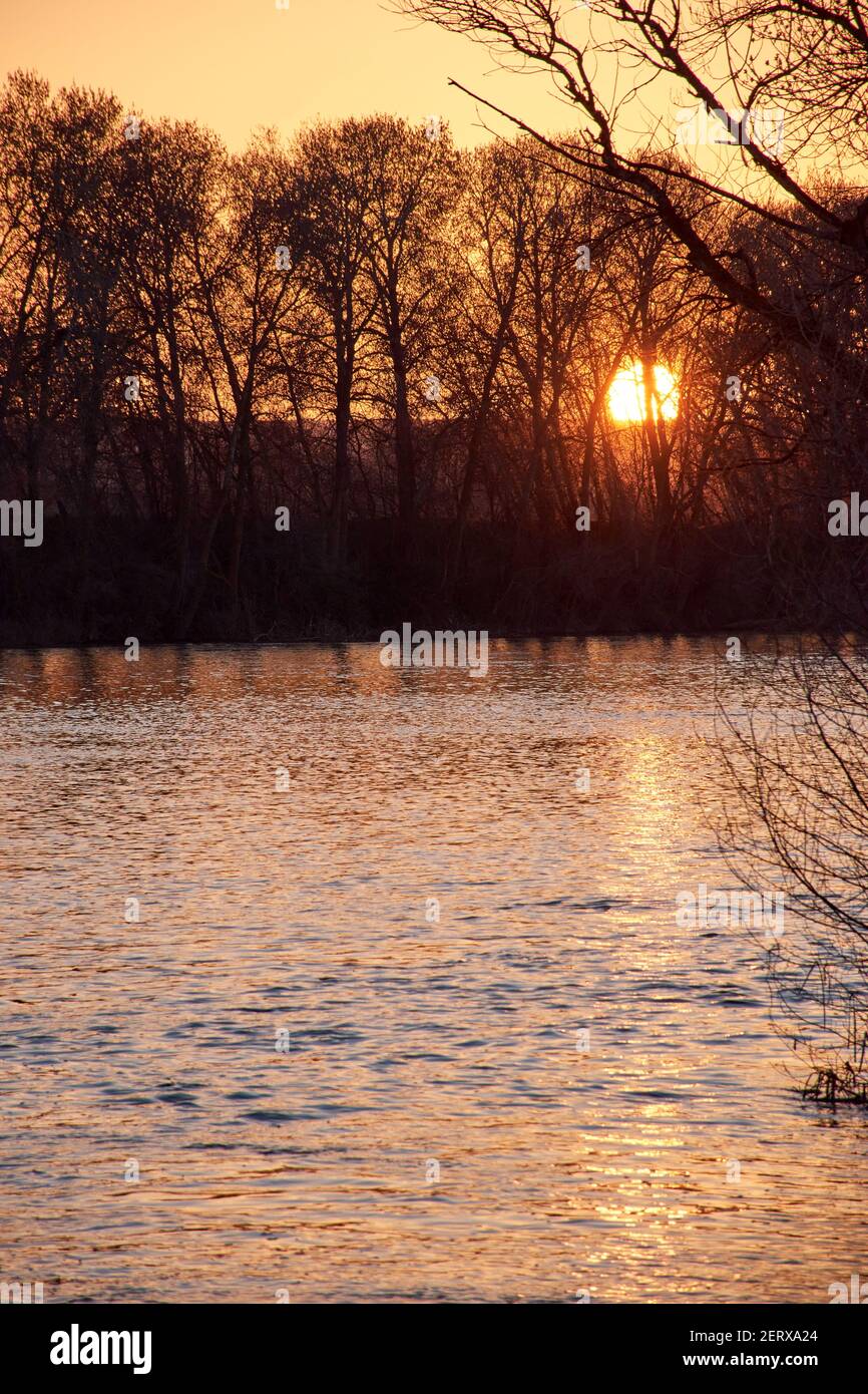 Safari arena hi-res stock photography and images - Alamy