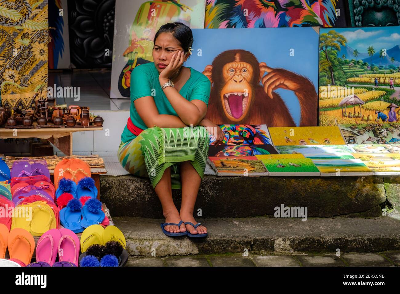 Monkey see Monkey do Stock Photo - Alamy